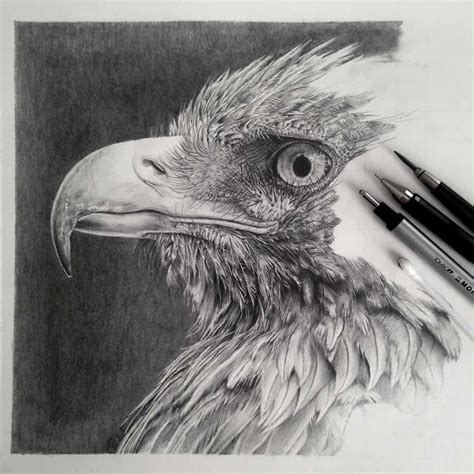 200 Imágenes De Arte De Bocetos