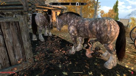 Sexlab Confabulation September 16 2020 Page 9 Downloads Sexlab Framework Le Loverslab