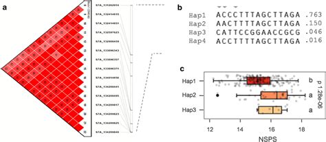 A Local Linkage Disequilibrium LD Block For The Mbp Region Download Scientific Diagram