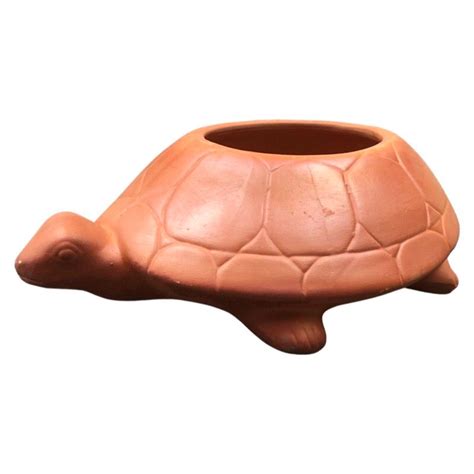 Natural Pot Short Turtle X Cm Pick Up Mama Pacha Gardens