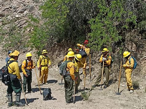 Se Han Registrado 17 Incendios Forestales En Lo Que Va Del Año En