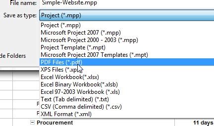 How To Print Your Microsoft Project Plan