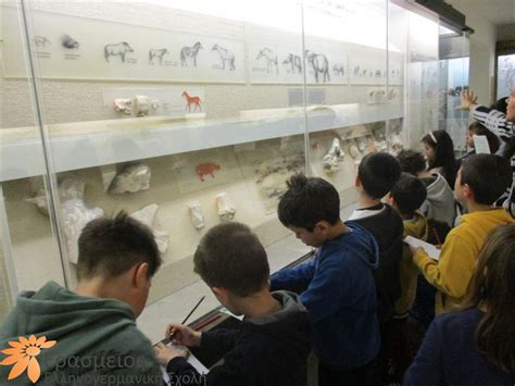 ΜΟΥΣΕΙΟ ΦΥΣΙΚΗΣ ΙΣΤΟΡΙΑΣ ΕΞΕΡΕΥΝΩ ΤΗ ΦΥΣΗ Εράσμειος