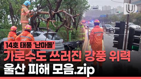 14호 태풍 난마돌에 가로수·신호등 쓰러진 울산 피해 모음 Zip