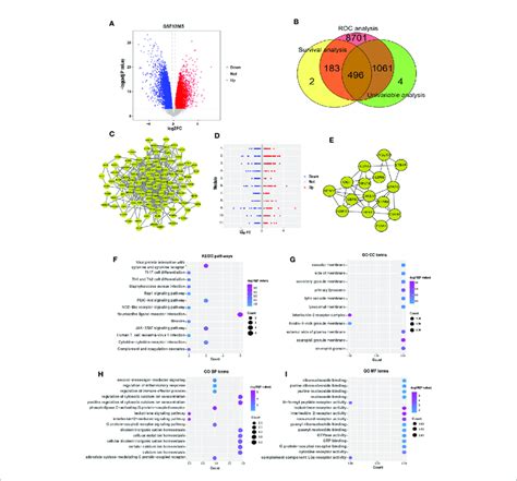 Comprehensive Expression Analysis For The Identification Of Hub Genes Download Scientific