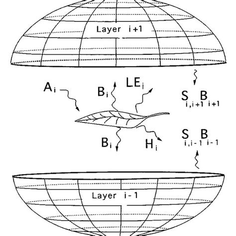 Canopy Later Abstraction Of Surface Energy Balance Download