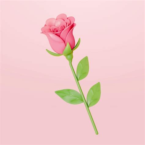 Rosa Rosa 3d Vector Premium