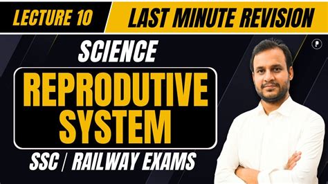 Lmr Series Reproductive System L10 Pdf Parcham Classes Creating Victories