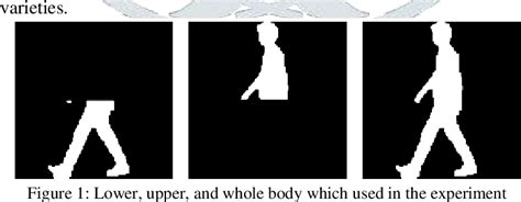 Figure 1 From A Review Of Gait Recognition Based Gender Classification Semantic Scholar