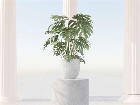 Activating Prior Knowledge Strategies Wakelet