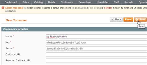 Configuring Magento Rest And Oauth Settings For Rest Access