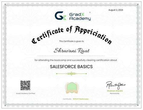 Shravani Raut On Linkedin I Have Successfully Completed The Bootcamp In Salesforce Basics