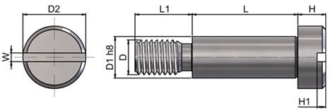 Slot Shoulder Bolt 316 Stainless Steel