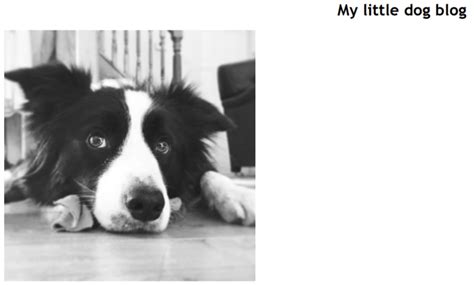 How To Resize An Image Using Css Browserstack