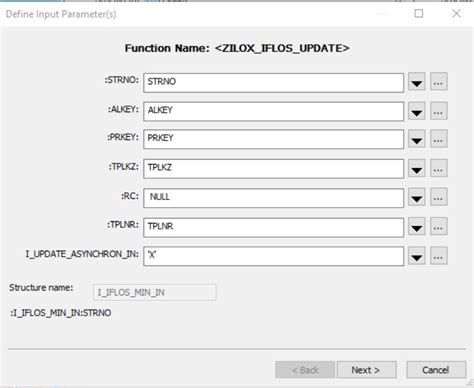 Custom Function To Load Alternate Labelling For Fu Sap Community