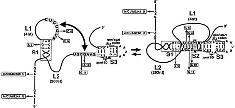 Schematic Representation Of The Long Range Interaction Required For