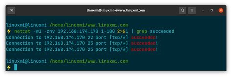 在 Linux 中使用 netcat 命令扫描端口 Linux迷