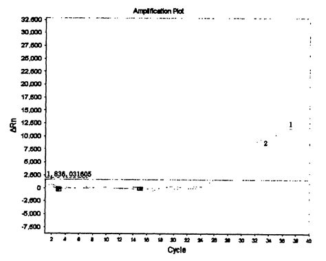 Nucleotide Sequence Method And Kit For Detecting Exons 12 13 Mutation Of Human K Ras Gene