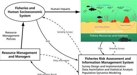 Conceptual Overview Of A Systems Science Approach To Fi Sheries