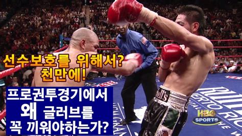 권투경기에서 왜 선수들에게 글로브를 착용시킬까 Youtube