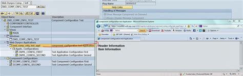 Controlling Ui Elements By Application Configuration And Component
