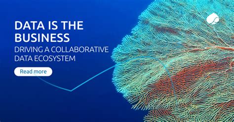 Data Is The Business Driving A Collaborative Data Ecosystem Capgemini