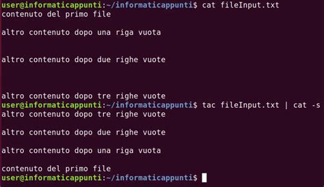 Il Comando Cat Linux Guida Completa Con Esempi Informaticappunti