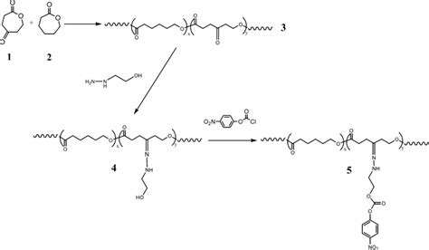 Synthetic Scheme Showing The Copolymerization Of The Synthesized Download Scientific Diagram