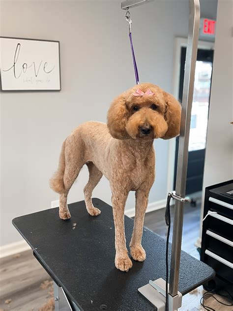 Chixie Chixie Added A New Photo