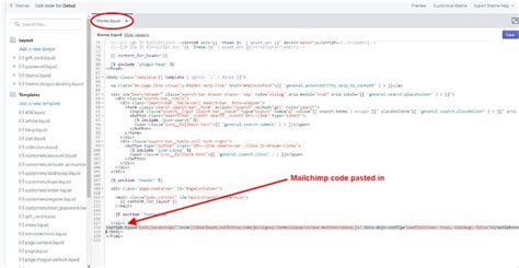 Where To Put The Mailchimp Popup Code On Shopify Shogun