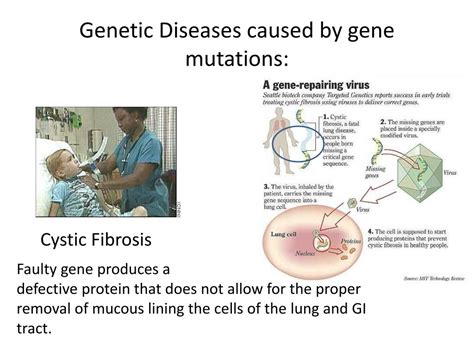 ppt mutations powerpoint presentation free download id 2664465