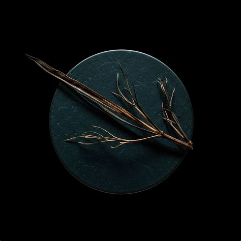 Environmental Kpis → Fundamentals