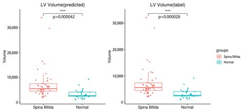 Sensors Free Full Text Deep Learning Based Multiclass Brain Tissue Segmentation In Fetal Mris