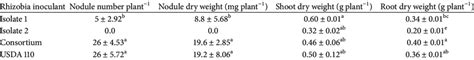 Soybean Growth Parameters And Nodulation As Affected By Rhizobia