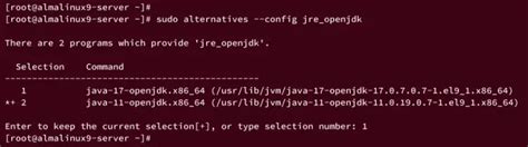 how to install java openjdk oraclejdk on almalinux 9