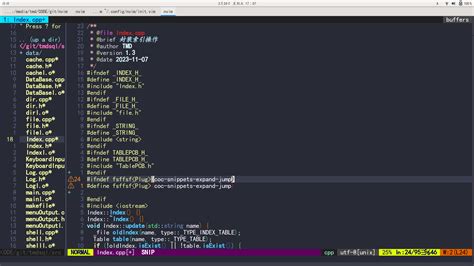 coc snippet 的 异常 Issue neoclide coc nvim GitHub
