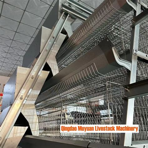 Stepped Layer Cage A Cage Poultry Breeding Brooding Equipment