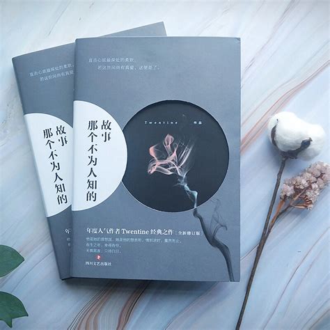 那个不为人知的故事全新修订版陈铭生和杨昭的爱情故事 twentine虐哭读者的经典之作青春情感言情小说书籍【官方正版】 虎窝淘