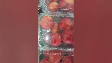 과일삼촌의 여름과일 시세 가이드 배 사과 감귤 블루베리 수박 참외 포도 키위 망고 특집 Youtube