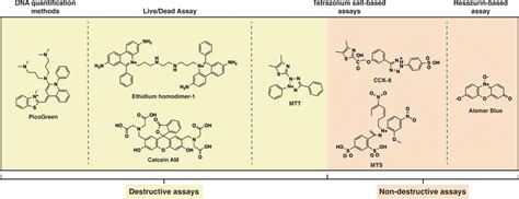 Common Colorimetric Indicators Used To Evaluate The Cytotoxicity Of Download Scientific Diagram