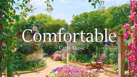 마음을 편안하게 해주는 좋은 피아노 작품 🍀 힘든 하루를 보낸 후 Calm Music 🌼 Youtube