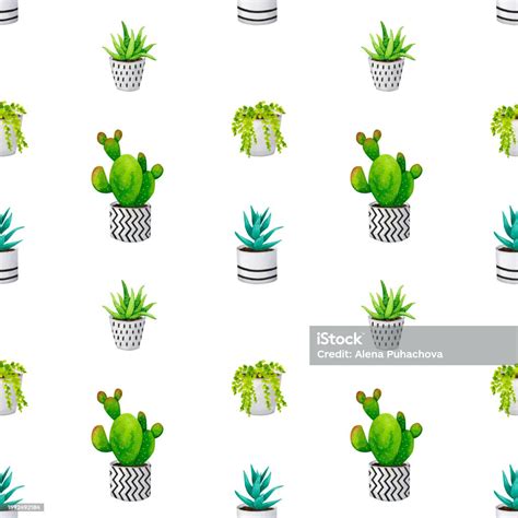 선인장과 다육식물이 있는 매끄러운 패턴은 흰색 바탕에 세라믹 냄비에 있습니다 포장 포장 문구류 직물 섬유를 위한 수채화 식물 장식 보헤미안 스칸디나비아 스타일 가시에 대한