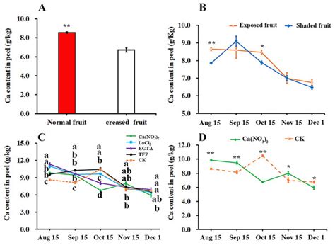 Effects Of Calcium On Cell Wall Metabolism Enzymes And Expression Of