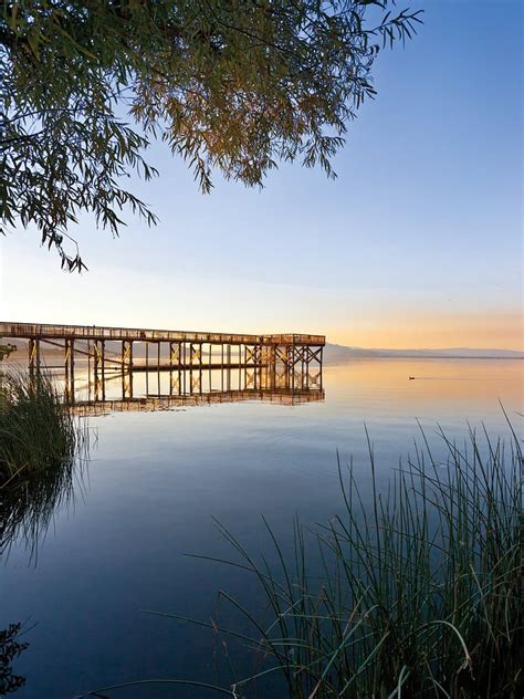 Worldmark Clear Lake Updated 2023 Prices And Resort Reviews Nice Ca