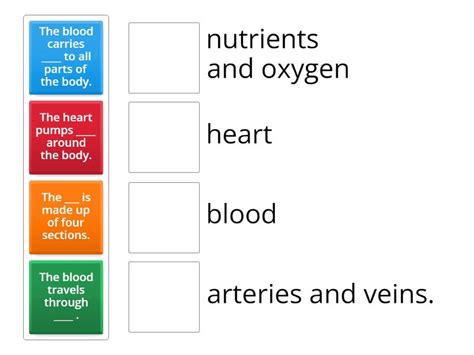 Natural Science Unit Circulatory System Match Up