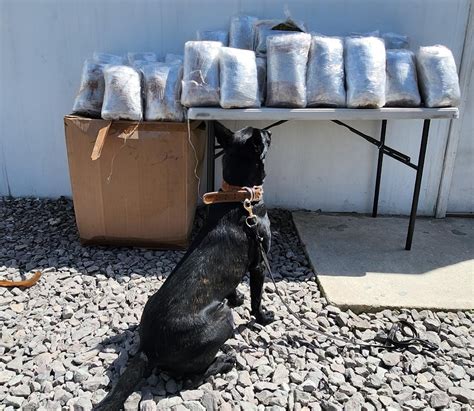 Incautaron Dulces Con Marihuana Y Vapeadores Con Cbd Y Thc En