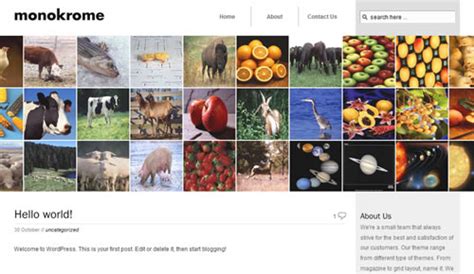 Лучшие Бесплатные Wordpress Темы 2010