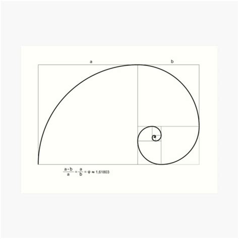 Golden Ratio Phi Equation Fibonacci Spiral Art Print For Sale By