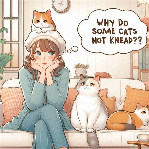 Why Do Some Cats Not Knead Mystery Unraveled