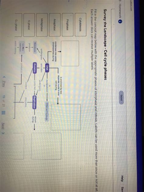 Solved Acation Com Seved Help Sav B Homework Survey The Chegg Com